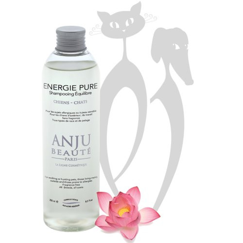 Shampoing Equilibre Energie Pure Shampoing Equilibre Energie Pure